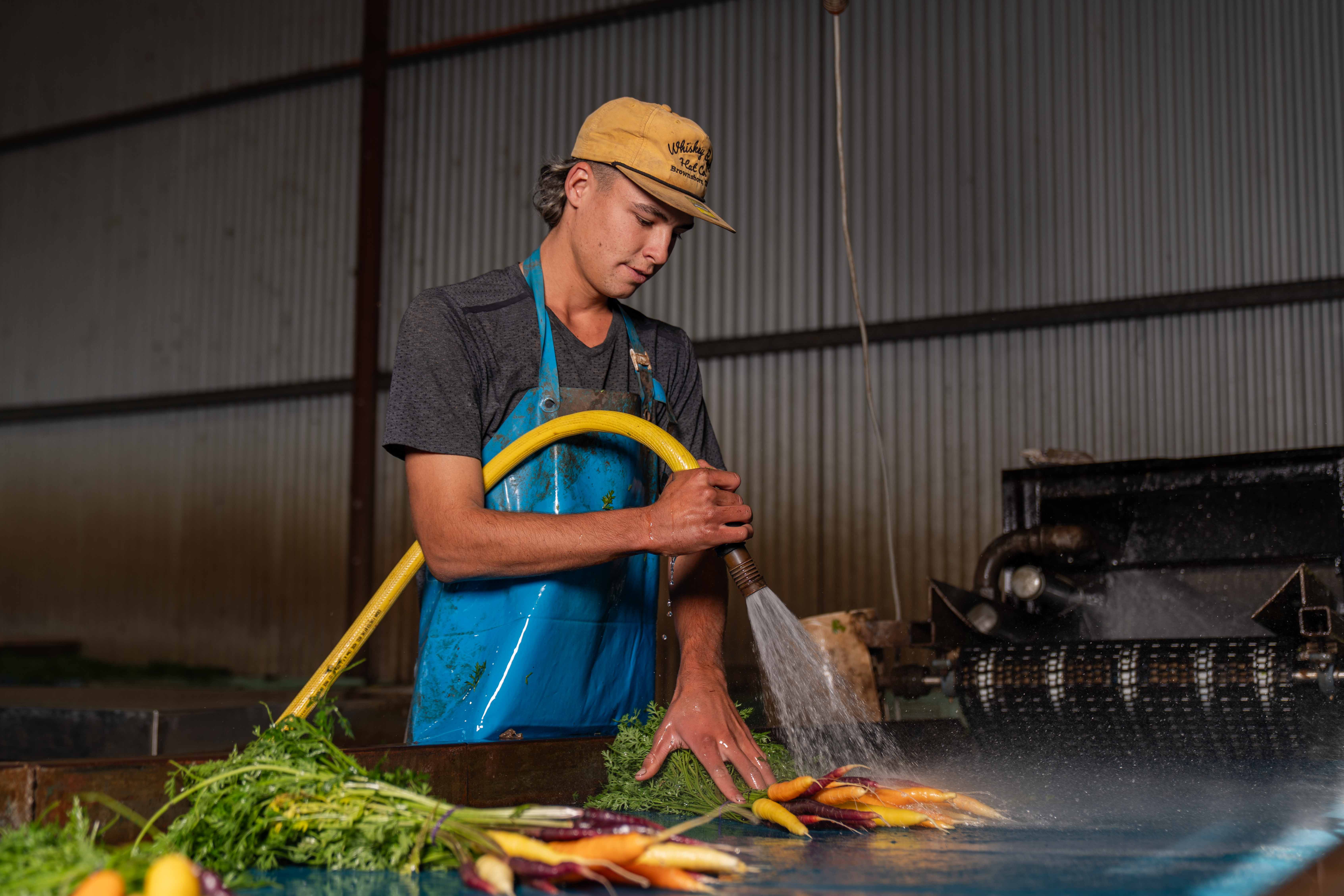 The making of a Scenic Rim harvest with Valley Pride Produce